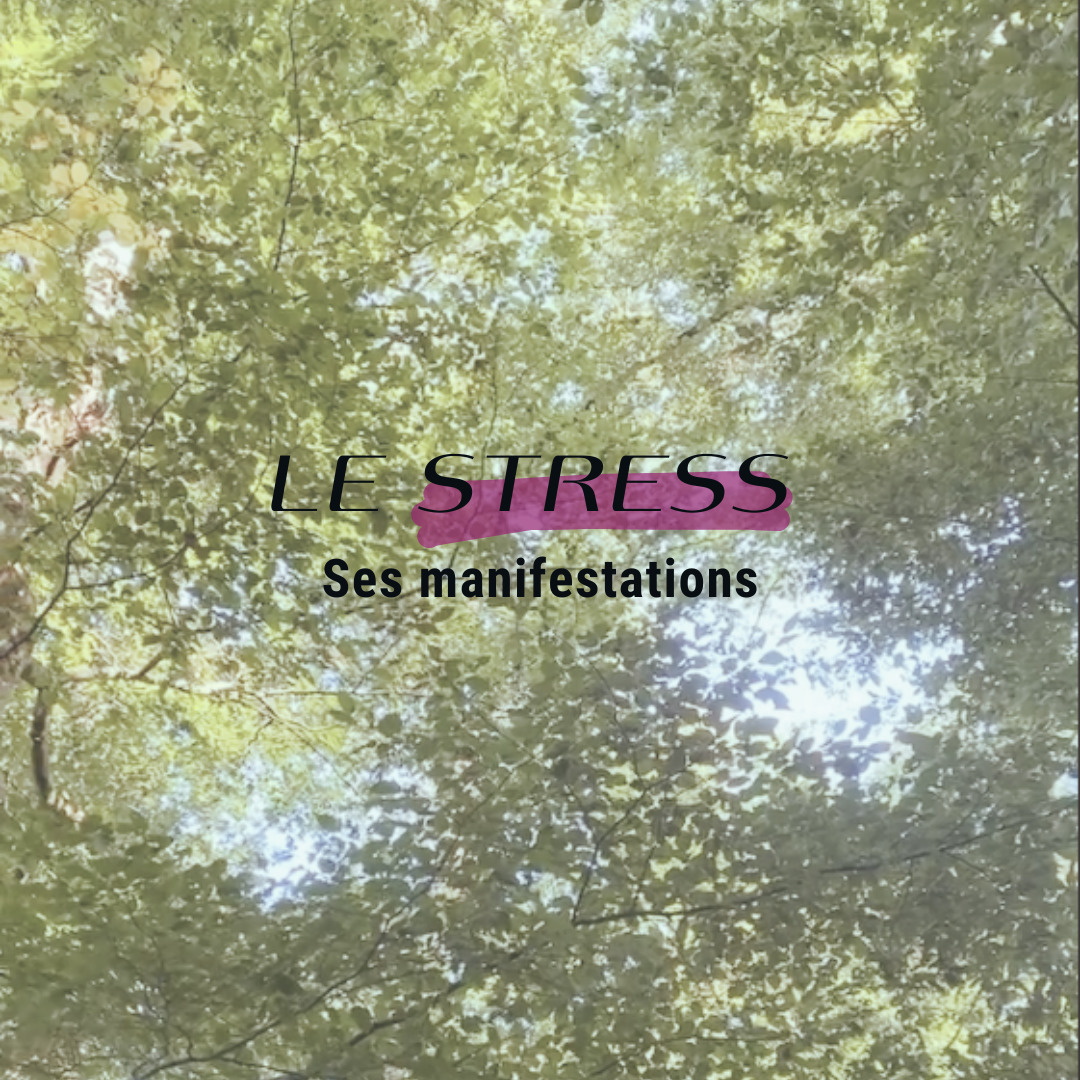 Les manifestations face au stress - Réflexoé